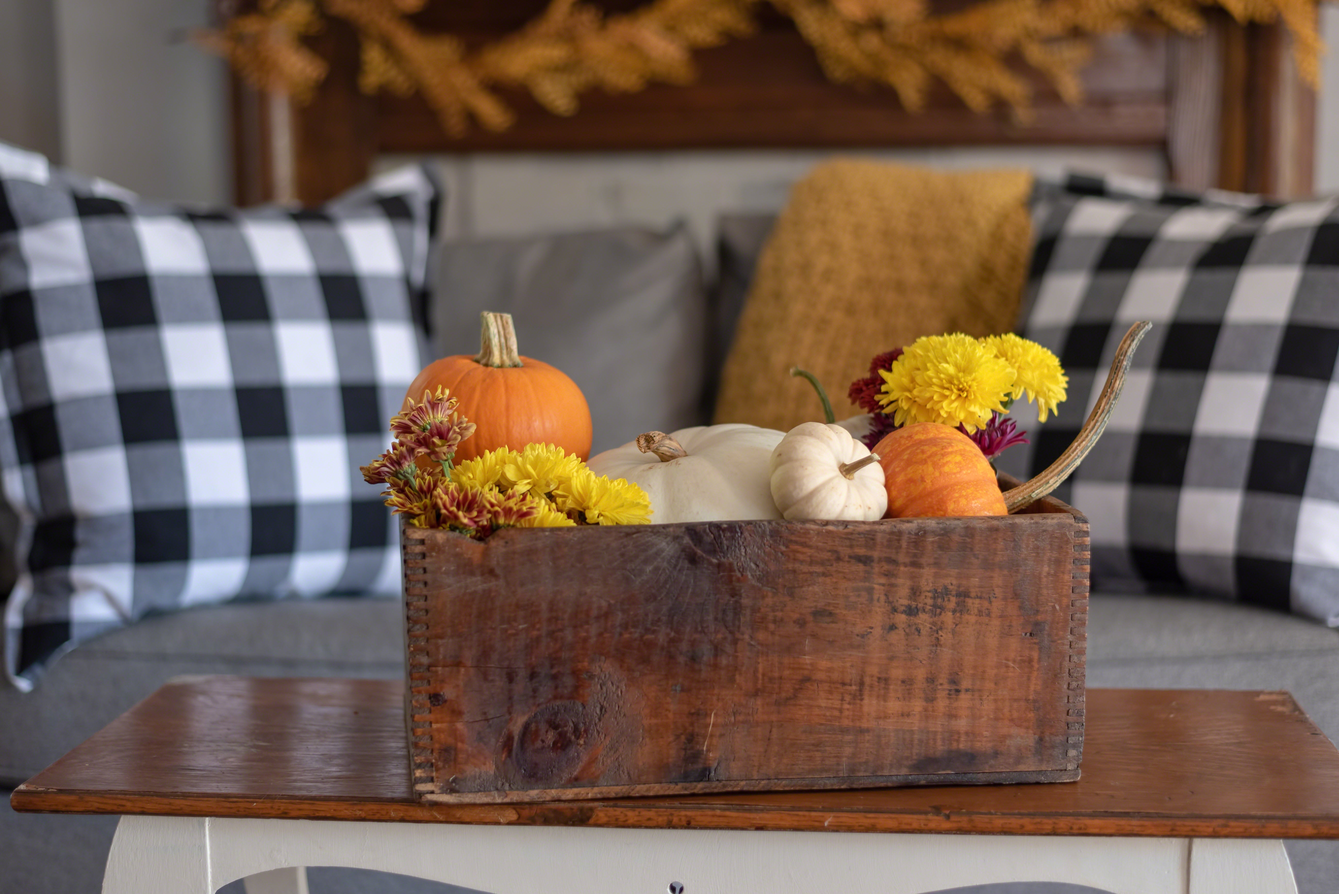 Barrington Country Homewares - Rustic & Elegant Decor